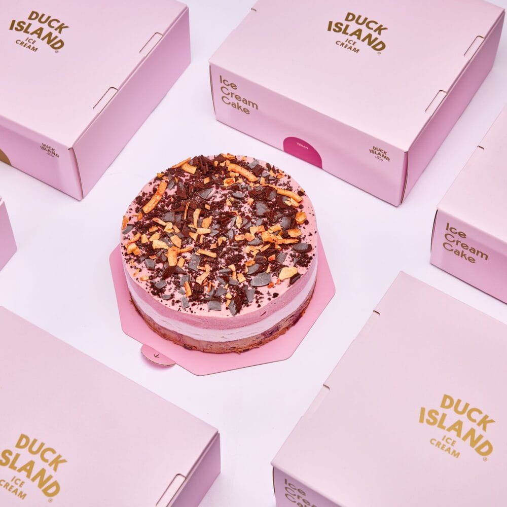 Creative Custom Cake Box Designs for Duck Island Area Creative Custom ...