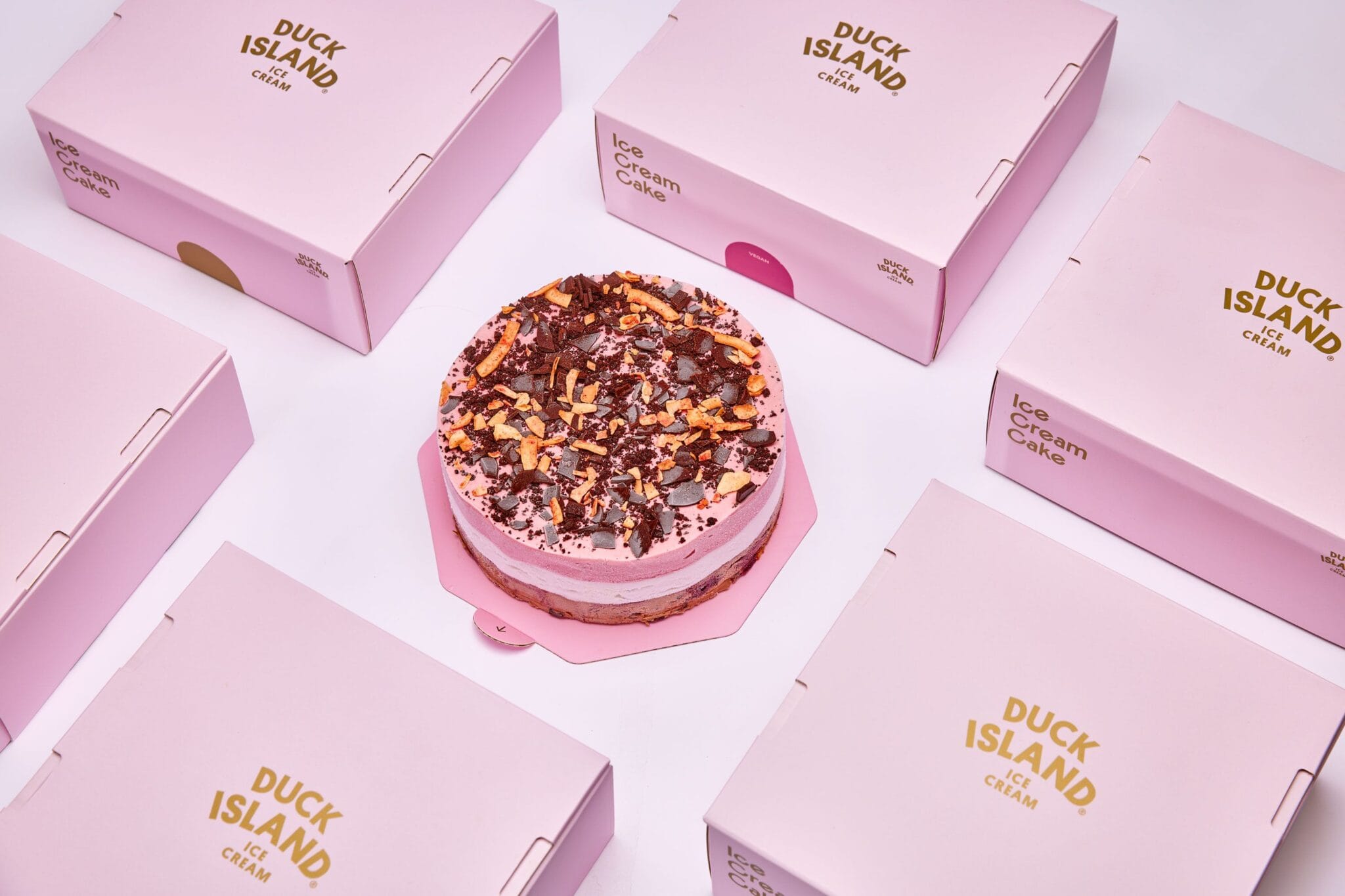 Creative Custom Cake Box Designs for Duck Island Area Creative Custom ...