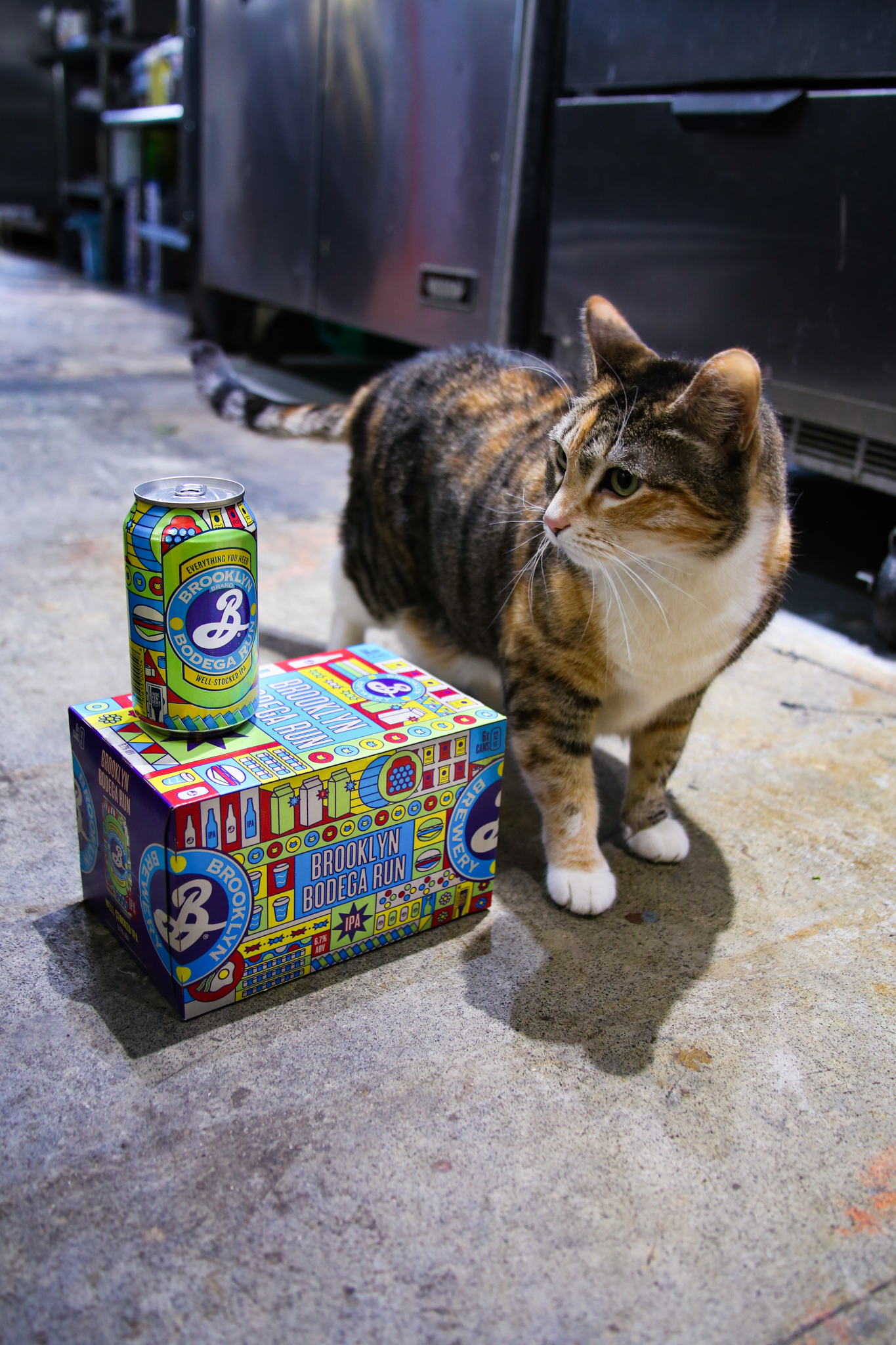 Custom Bodega Packaging: Celebrate Your Favorite Bodega Boxes!