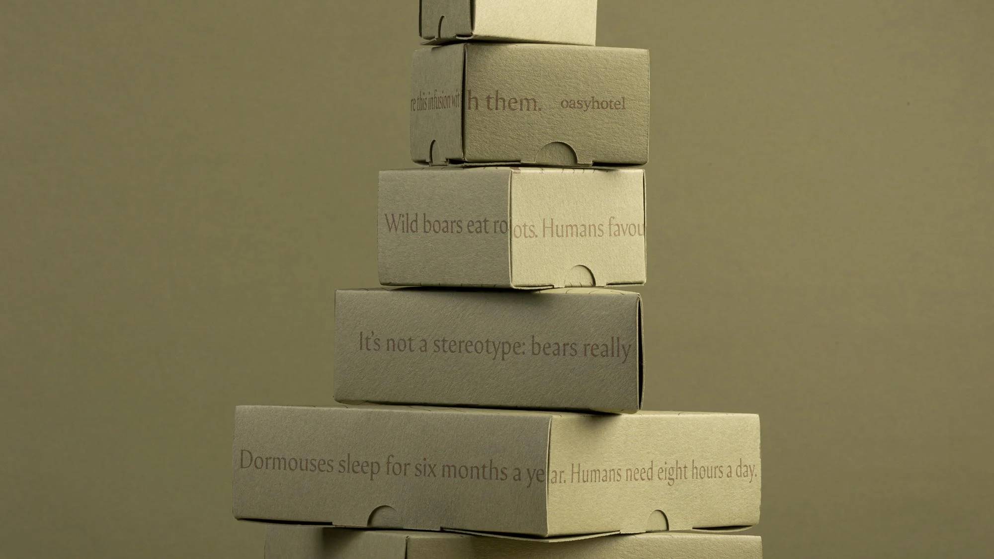 Custom Tangram Box Packaging for Stylish Puzzle Presentation